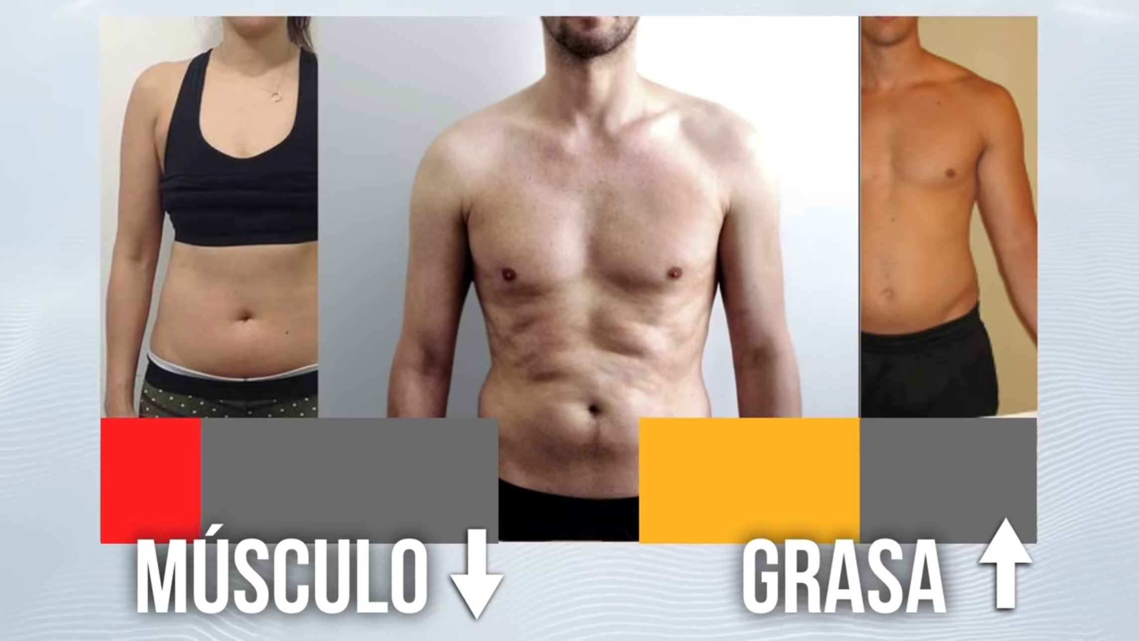 GANAR MÚSCULO O PERDER GRASA: ¿QUÉ HACER PRIMERO? – Fitness Kaizen