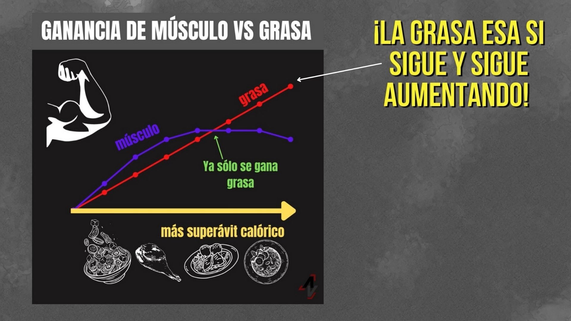 Superávit calórico – Fitness Kaizen