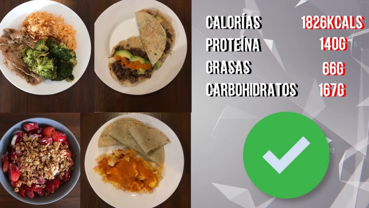 ¿Cómo armar una dieta y contar calorías? – Fitness Kaizen