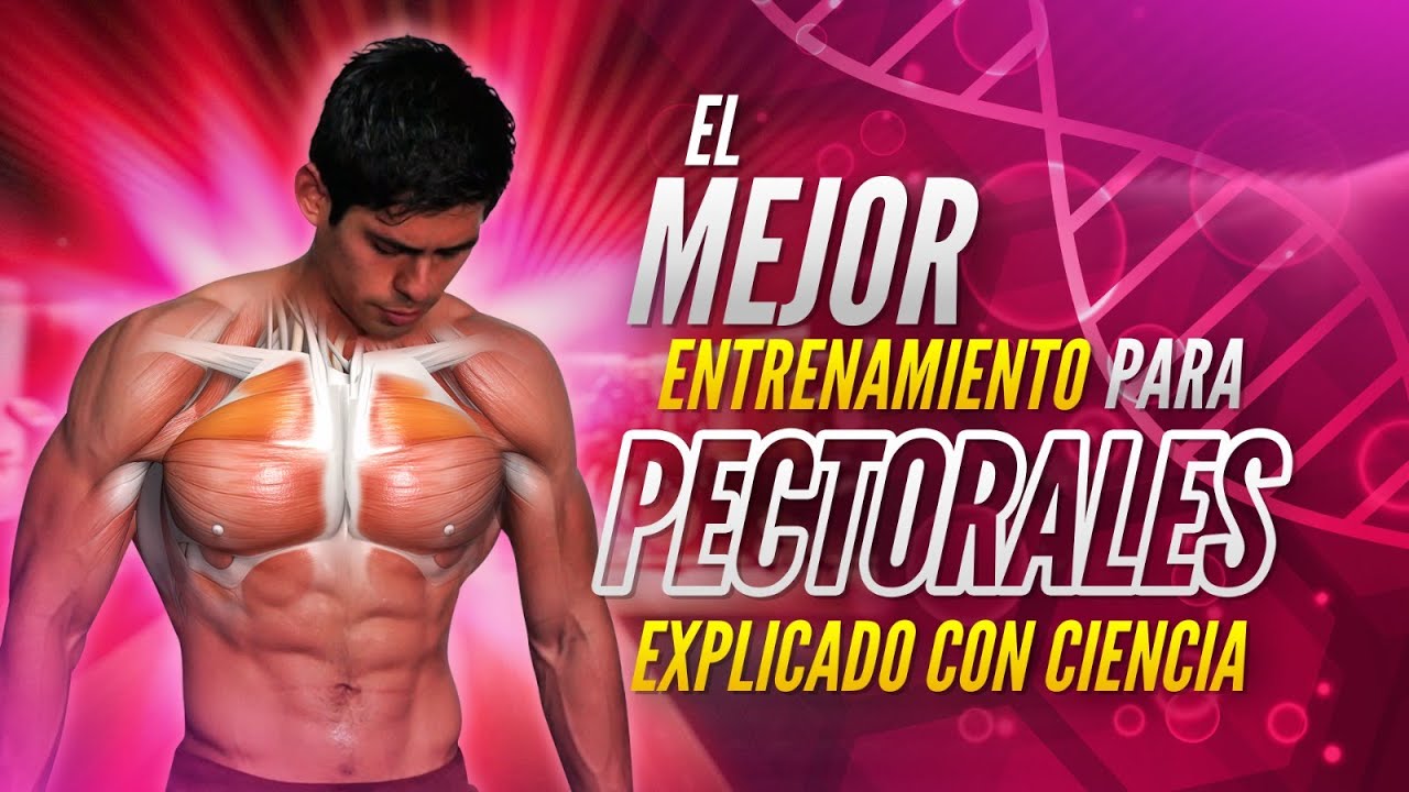 ¡EL MEJOR ENTRENAMIENTO PARA PECTORALES! – Fitness Kaizen