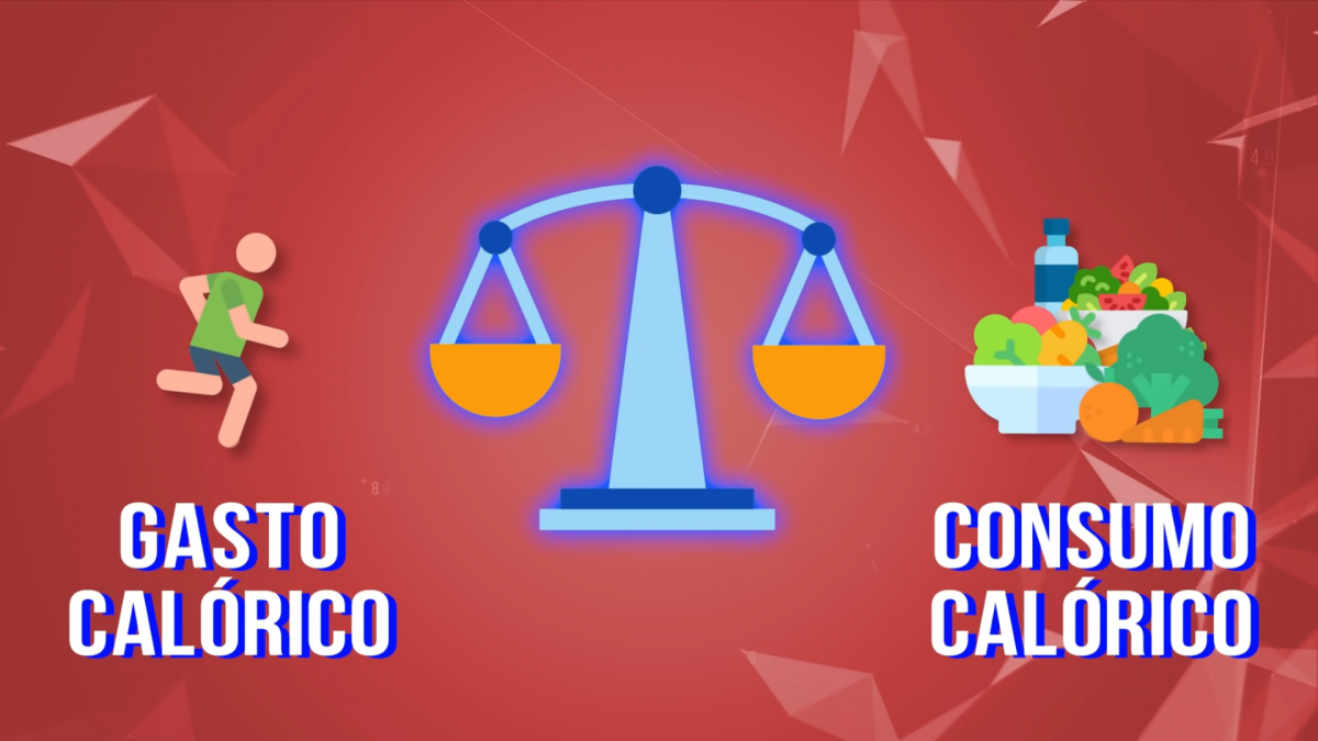 ¿Cómo armar una dieta y contar calorías? – Fitness Kaizen